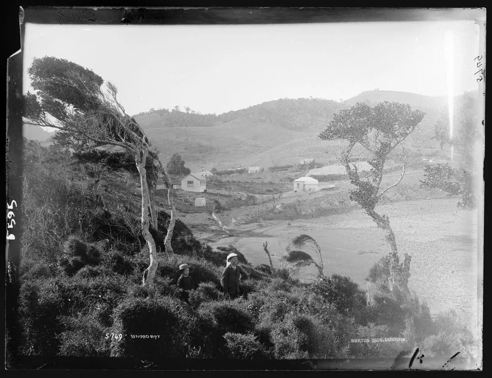 Broad Bay | Record | DigitalNZ