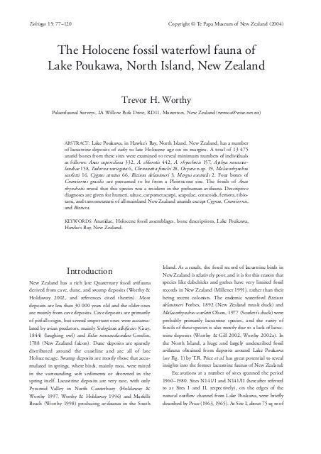 The Holocene fossil waterfowl fauna of Lake Poukawa, North Island, New ...
