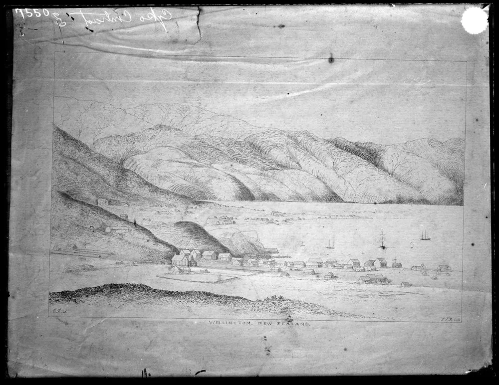 Early Wellington | Record | DigitalNZ