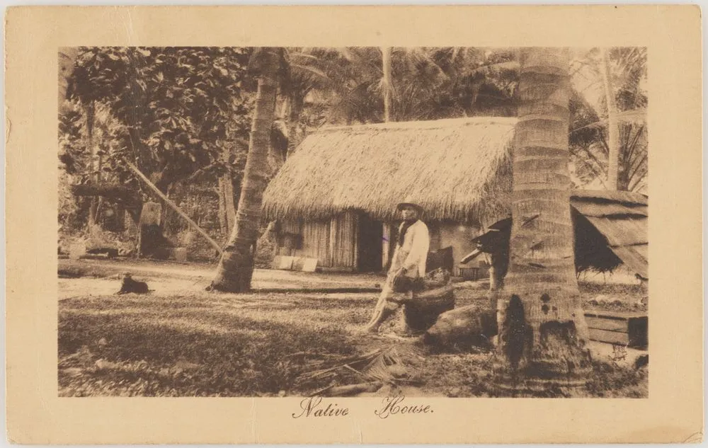 Native House | Record | DigitalNZ