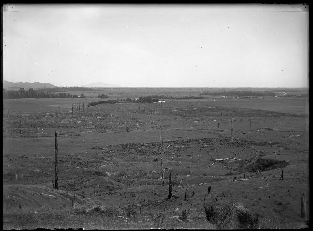 Levin views and Landscapes near Levin | Record | DigitalNZ