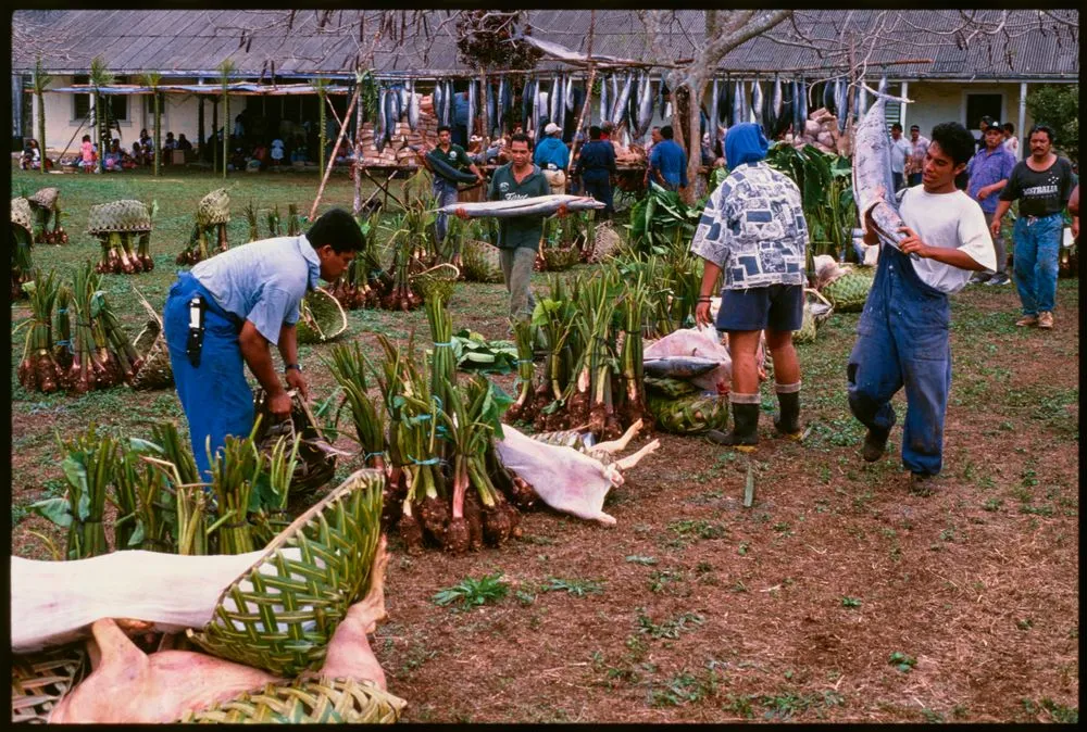 Food division, Niue | Record | DigitalNZ