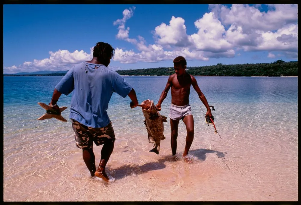 Two men carrying a large fish, Vanuatu | Record | DigitalNZ