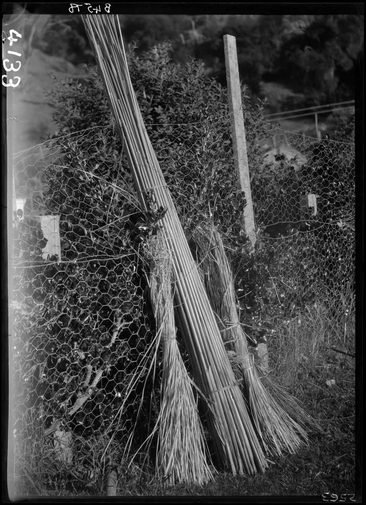Tukutuku Weaving | Record | DigitalNZ