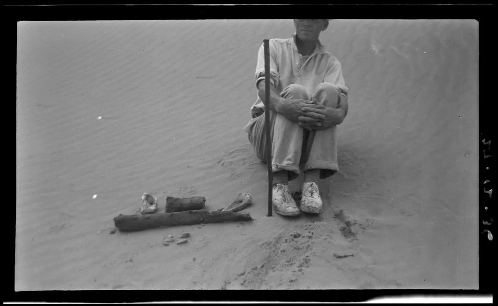 Large moa bones and gizzard stones | Record | DigitalNZ