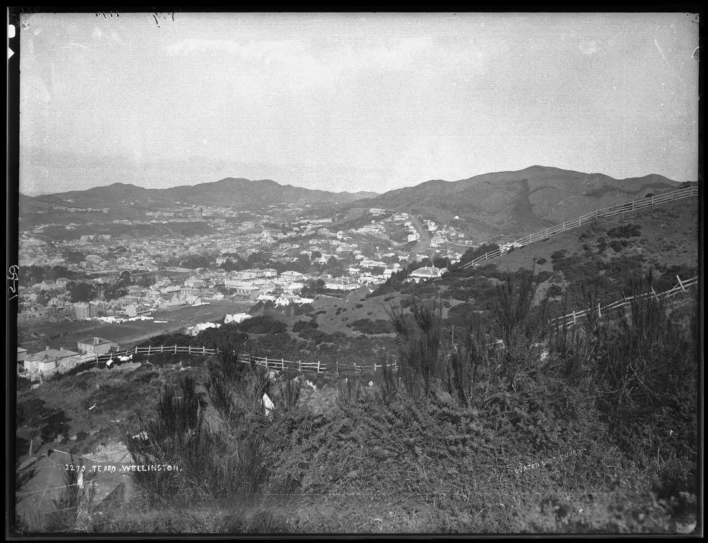 Te Aro, Wellington | Record | DigitalNZ