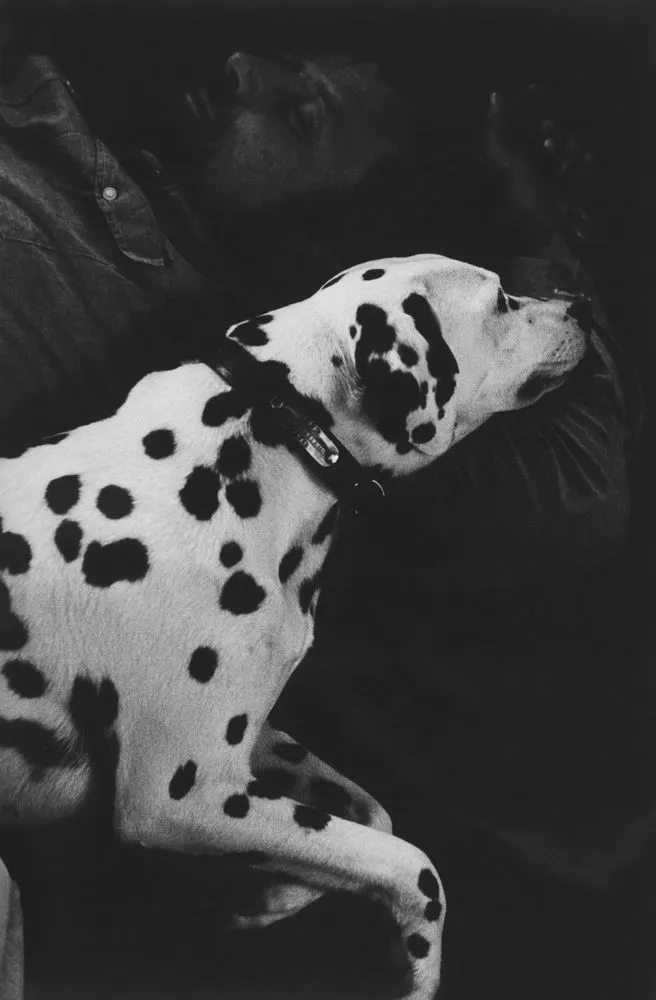 Jimmy Keogh and dalmatian, Auckland, 1968 | Record | DigitalNZ