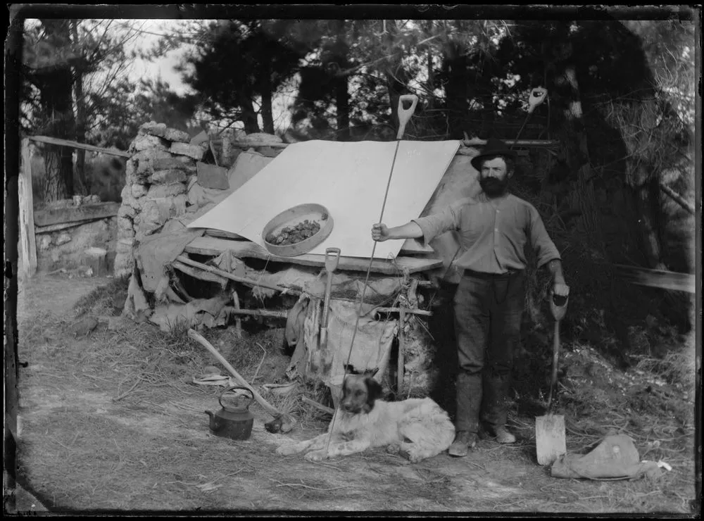 Kauri gum diggers | Record | DigitalNZ