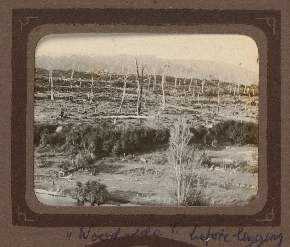 "Woodside" before logging up. From the album: Family photographs; circa ...