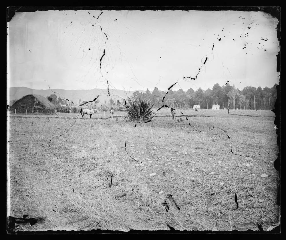 Farming scavenger hunt by taine - DigitalNZ