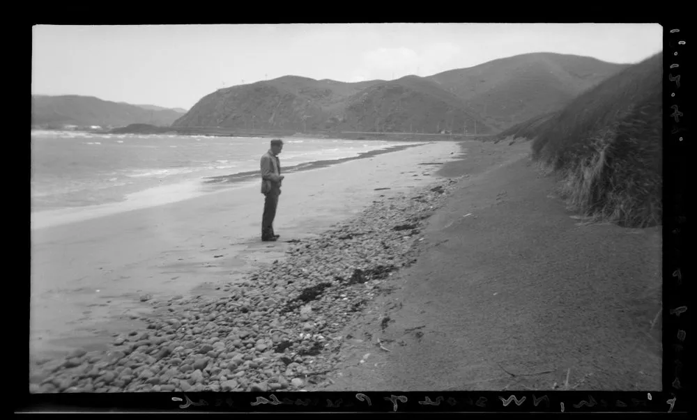 Emergence of shingle beach, north-west shore of Paremata Flat | Record | DigitalNZ