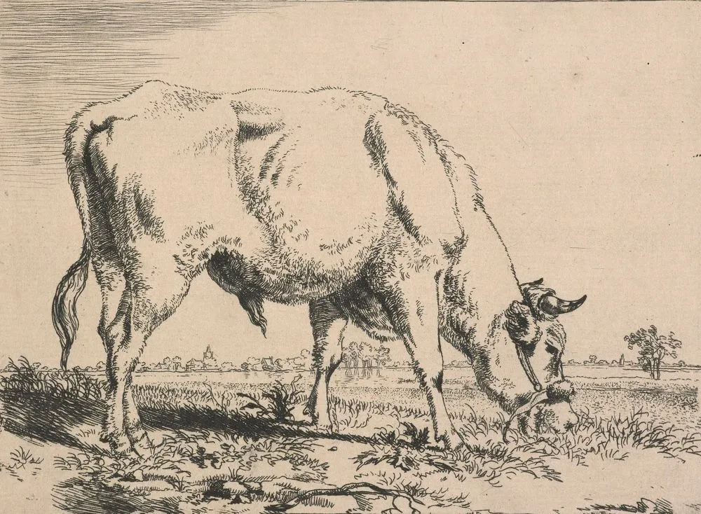 No title. (Cattle study.) | Record | DigitalNZ