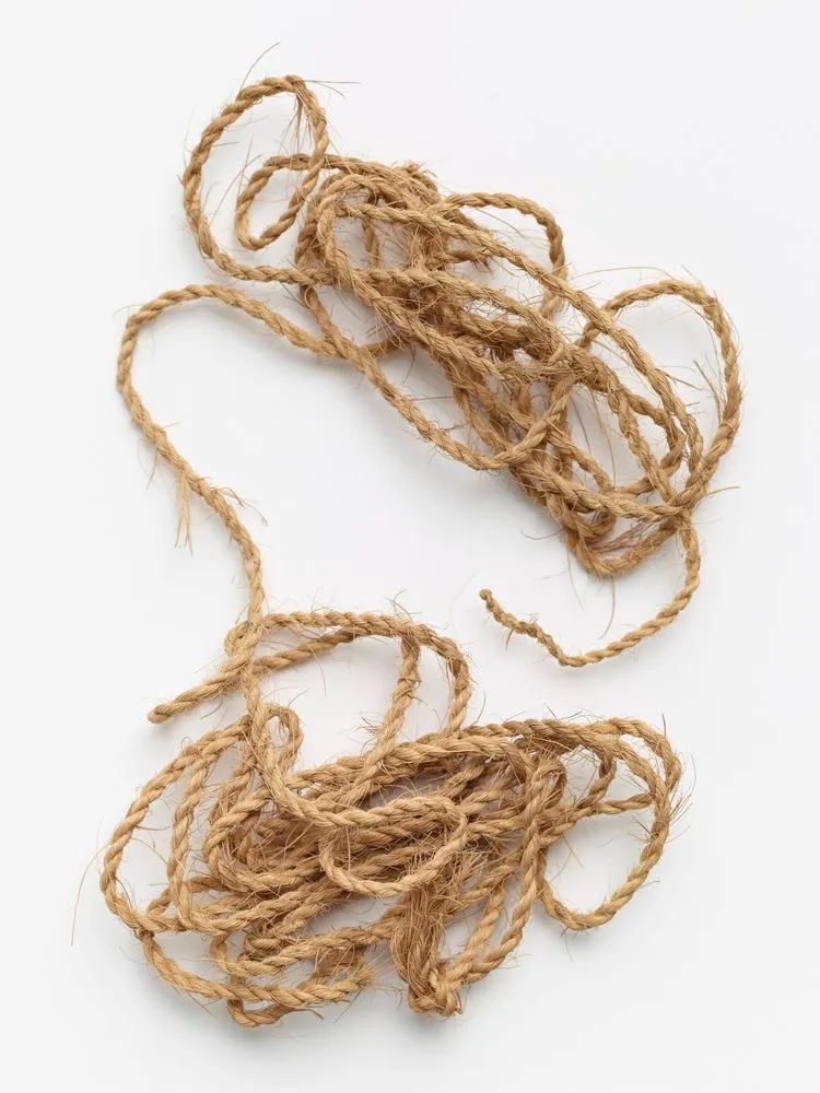 Sennit String | Record | DigitalNZ