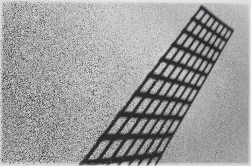 The grid series. | Record | DigitalNZ