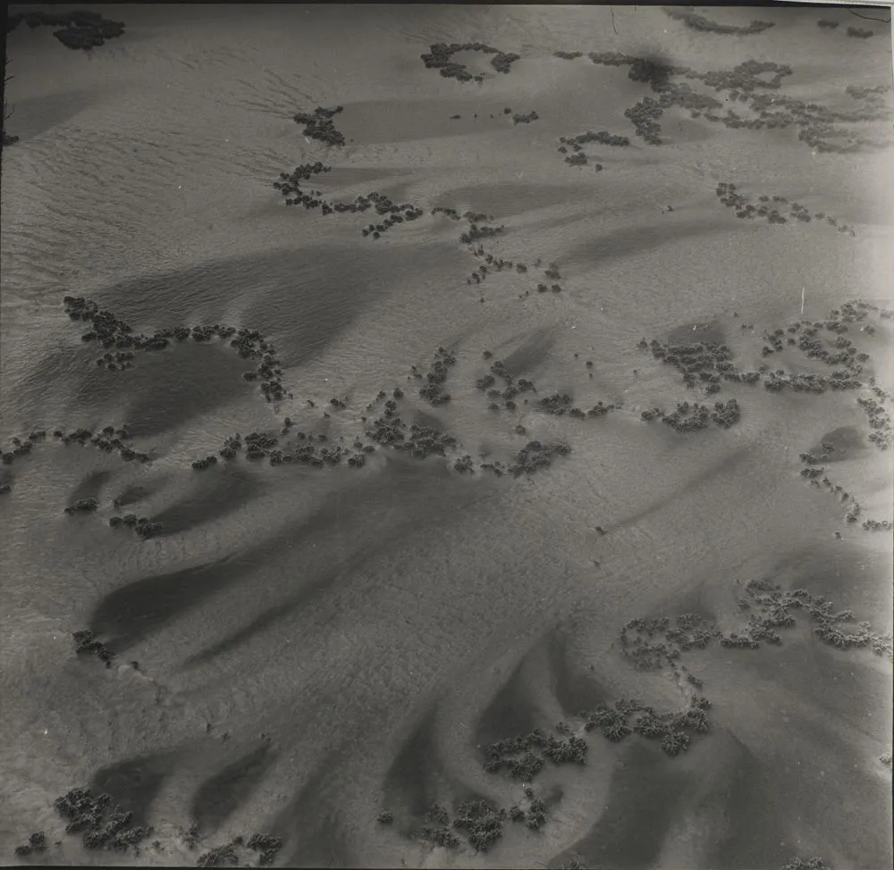 Geothermal study no.2 | Record | DigitalNZ