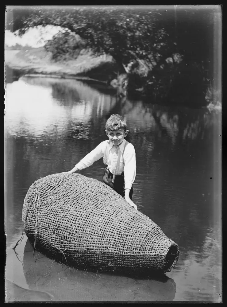 Maori eel-trap or eel basket of the type called hinaki herehere. Hokio ...