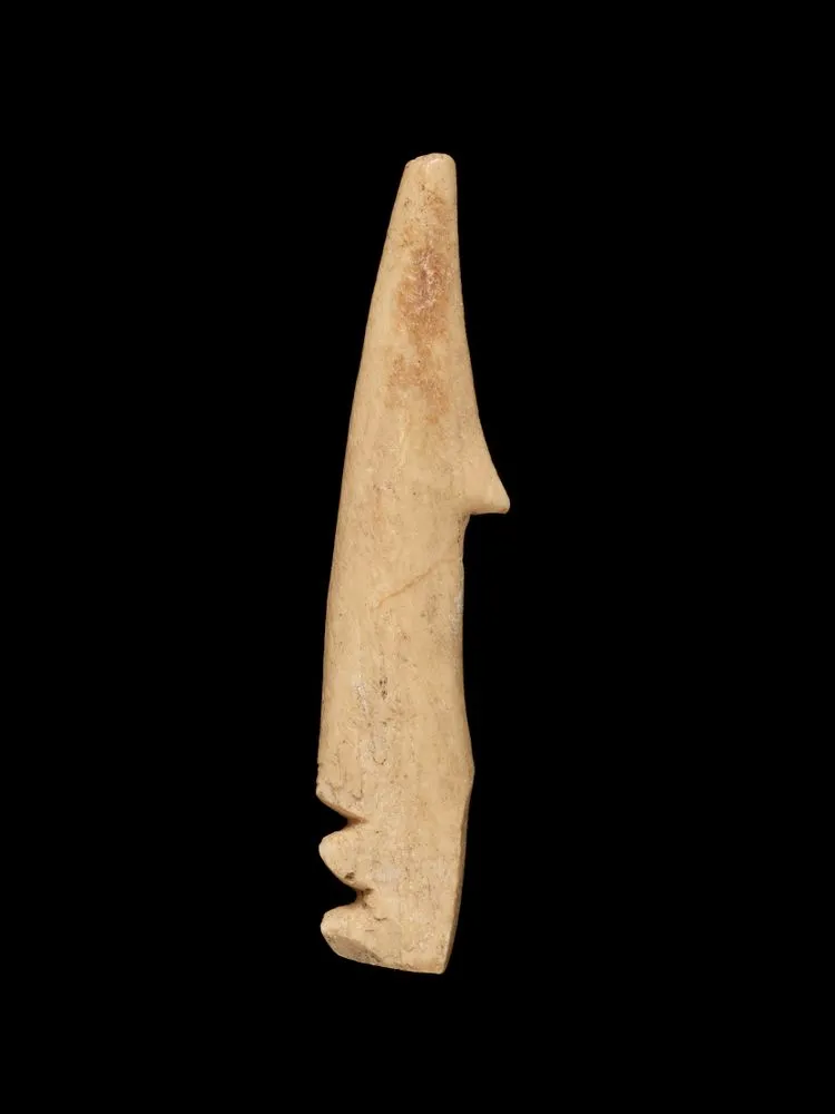 Mata (fish hook point) | Record | DigitalNZ