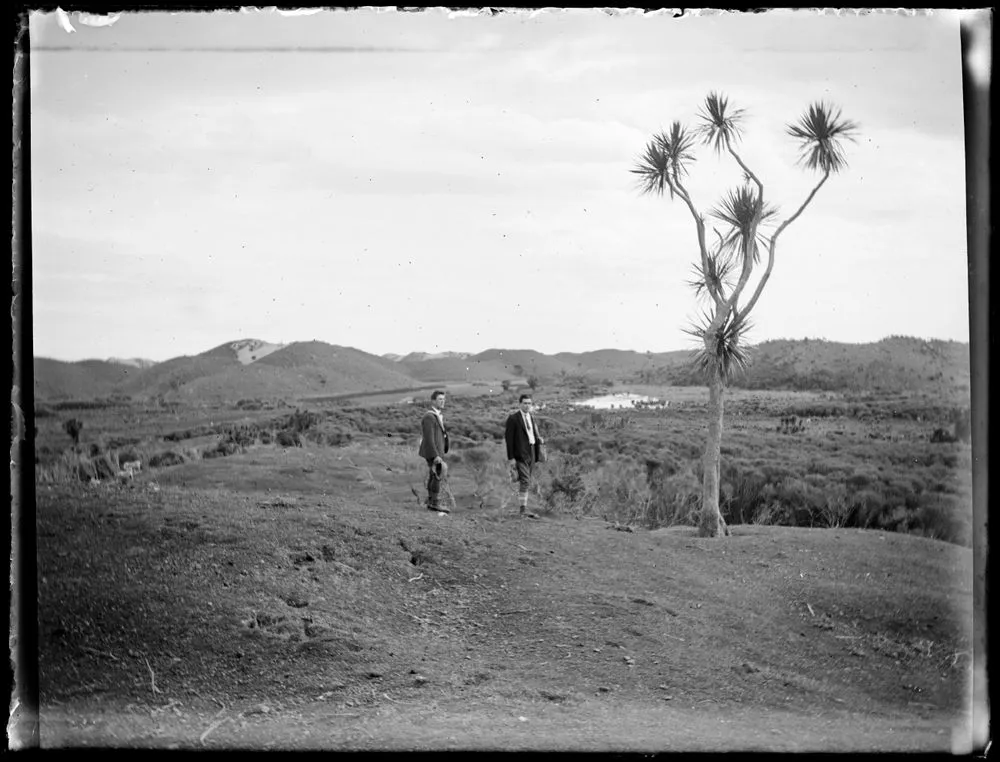 Cabbage Tree, Lake Horowhenua | Record | DigitalNZ