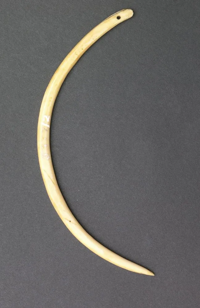 Aurei (cloak pin); Ngira (needle) | Record | DigitalNZ