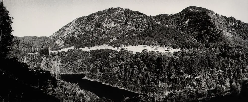 From Parinui. From the portfolio: The Wanganui - 12 Panoramas | Record ...