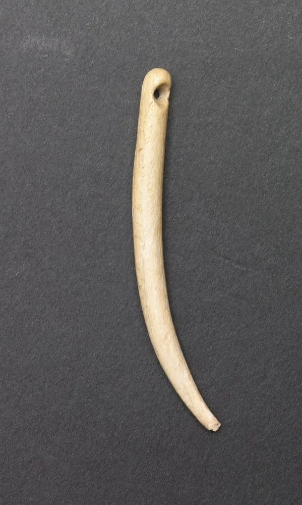 Aurei (cloak pin) | Record | DigitalNZ