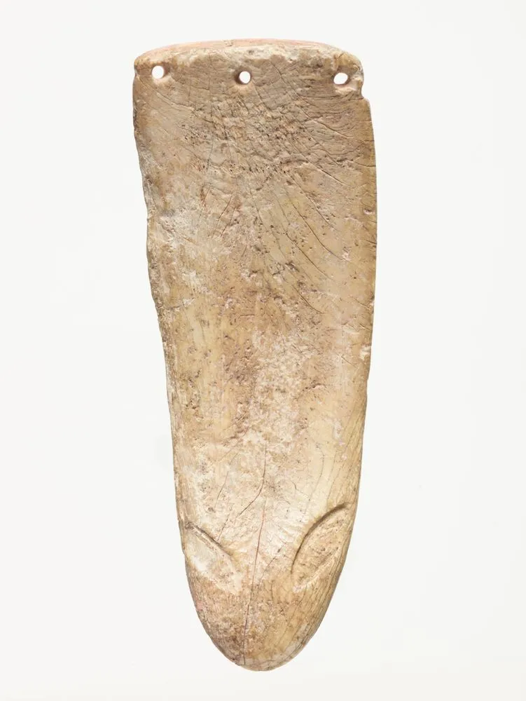 Rei Niho Paraoa (sperm whale tooth pendant) | Record | DigitalNZ