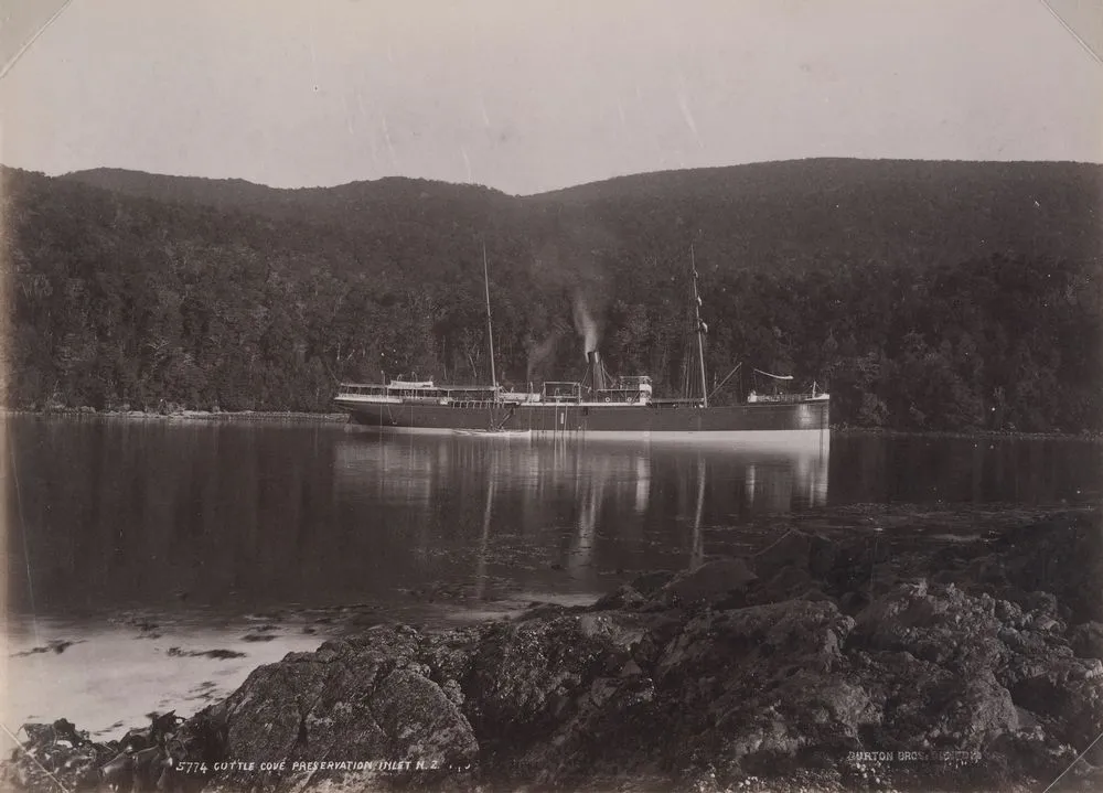 Cuttle Cove, Preservation Inlet | Record | DigitalNZ