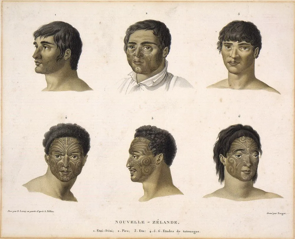 New Zealand: studies of six Maori heads | Record | DigitalNZ