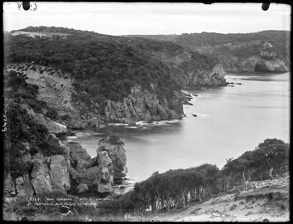 Boat Harbour, Pitt Island, Chatham Islands | Record | DigitalNZ