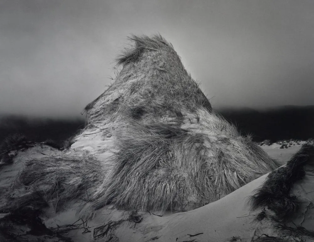 Mason Bay #9, 1988 | Record | DigitalNZ