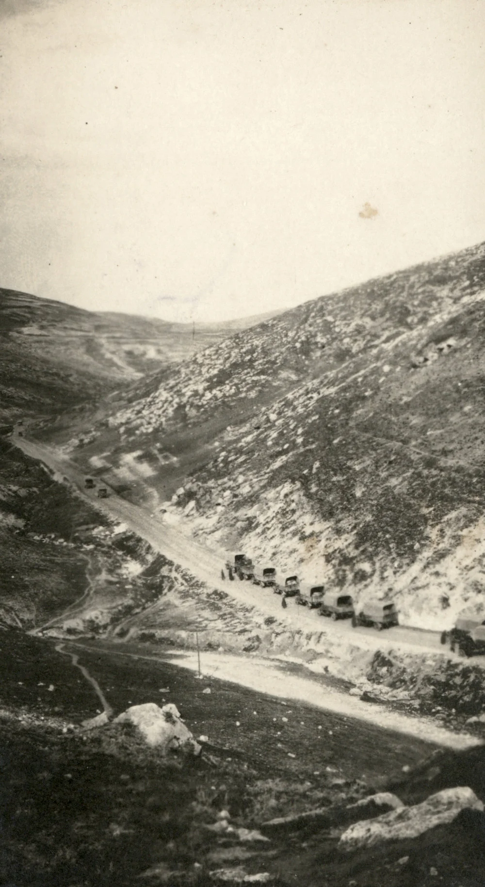 Gallipoli & Sinai & Palestine | Record | DigitalNZ