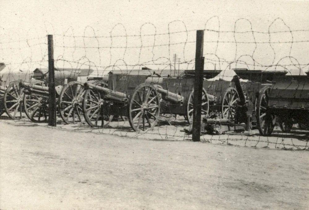 Sinai & Palestine | Record | DigitalNZ