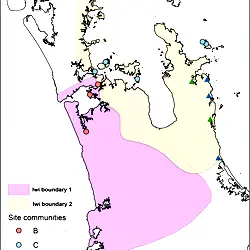 Examples of some contemporary iwi boundaries (http://www.tkm.govt.nz ...