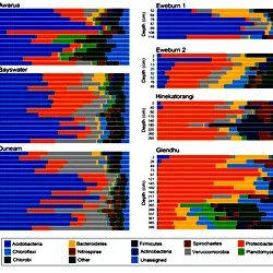 Bacteria community composition at the taxonomic level of phyla. | Record | DigitalNZ