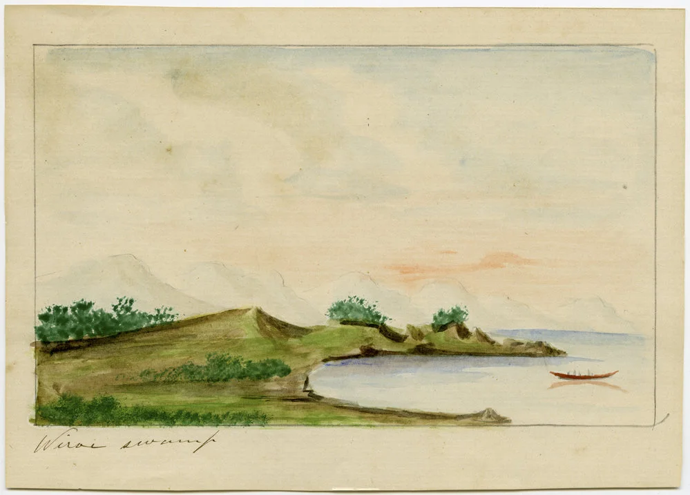 Wairoa swamp | Record | DigitalNZ