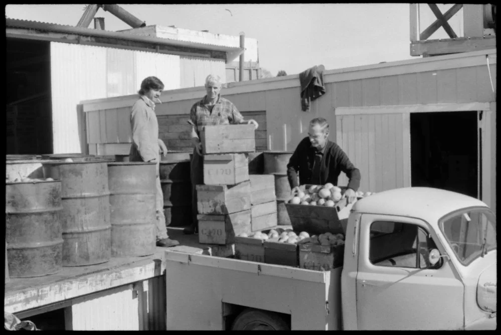 Three men with potato truck | Record | DigitalNZ