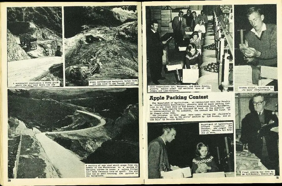 Apple Packing Contest | Record | DigitalNZ