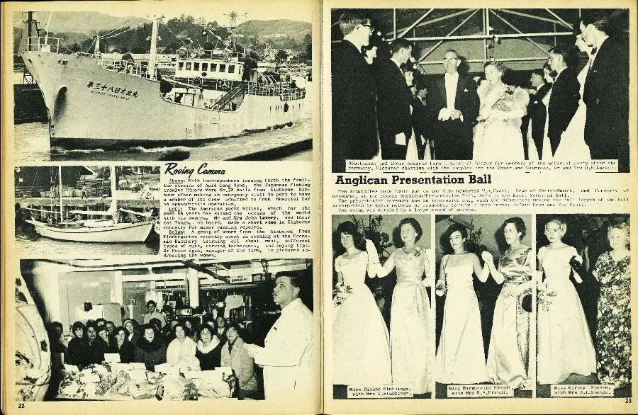 Roving Camera | Record | DigitalNZ