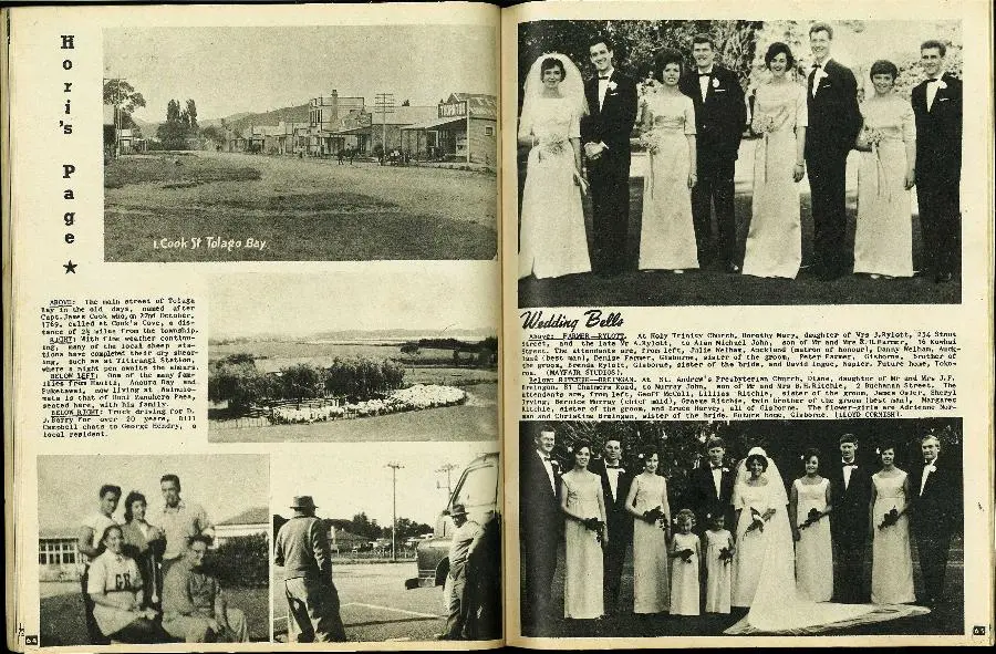 section | Record | DigitalNZ