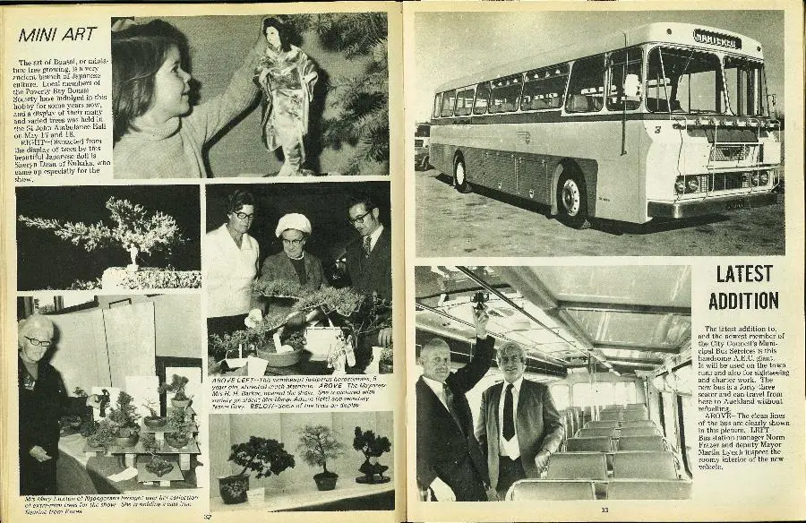 Mini Art | Record | DigitalNZ