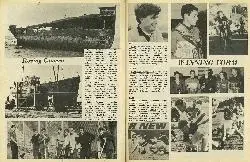 Roving Camera | Record | DigitalNZ