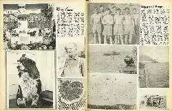 Roving Camera | Record | DigitalNZ