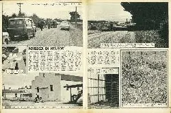 Murder In Nelson | Record | DigitalNZ