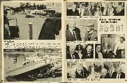 Rose by Dianne Millar - DigitalNZ