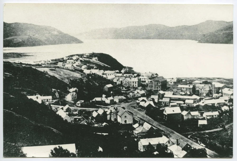 Dunedin - looking towards Bell Hill | Record | DigitalNZ