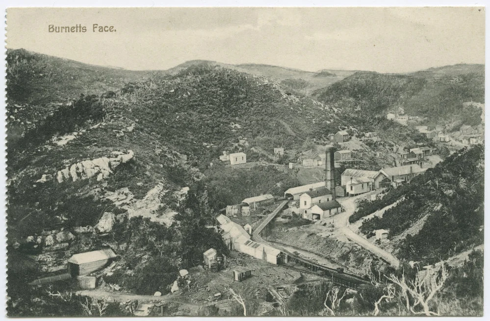 'Burnett's Face', two miles inland from Denniston | Record | DigitalNZ