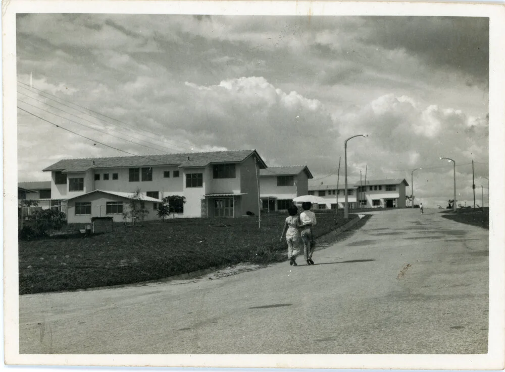 New Housing Complex | Record | DigitalNZ