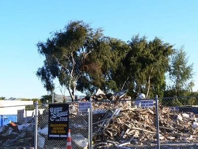 Photograph by Paul Corliss 0921 | Record | DigitalNZ