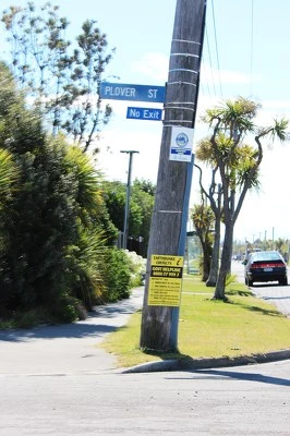 Photograph by Paul Corliss 2048 | Record | DigitalNZ