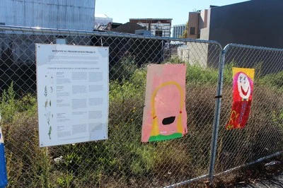 Photograph by Paul Corliss 3227 | Record | DigitalNZ